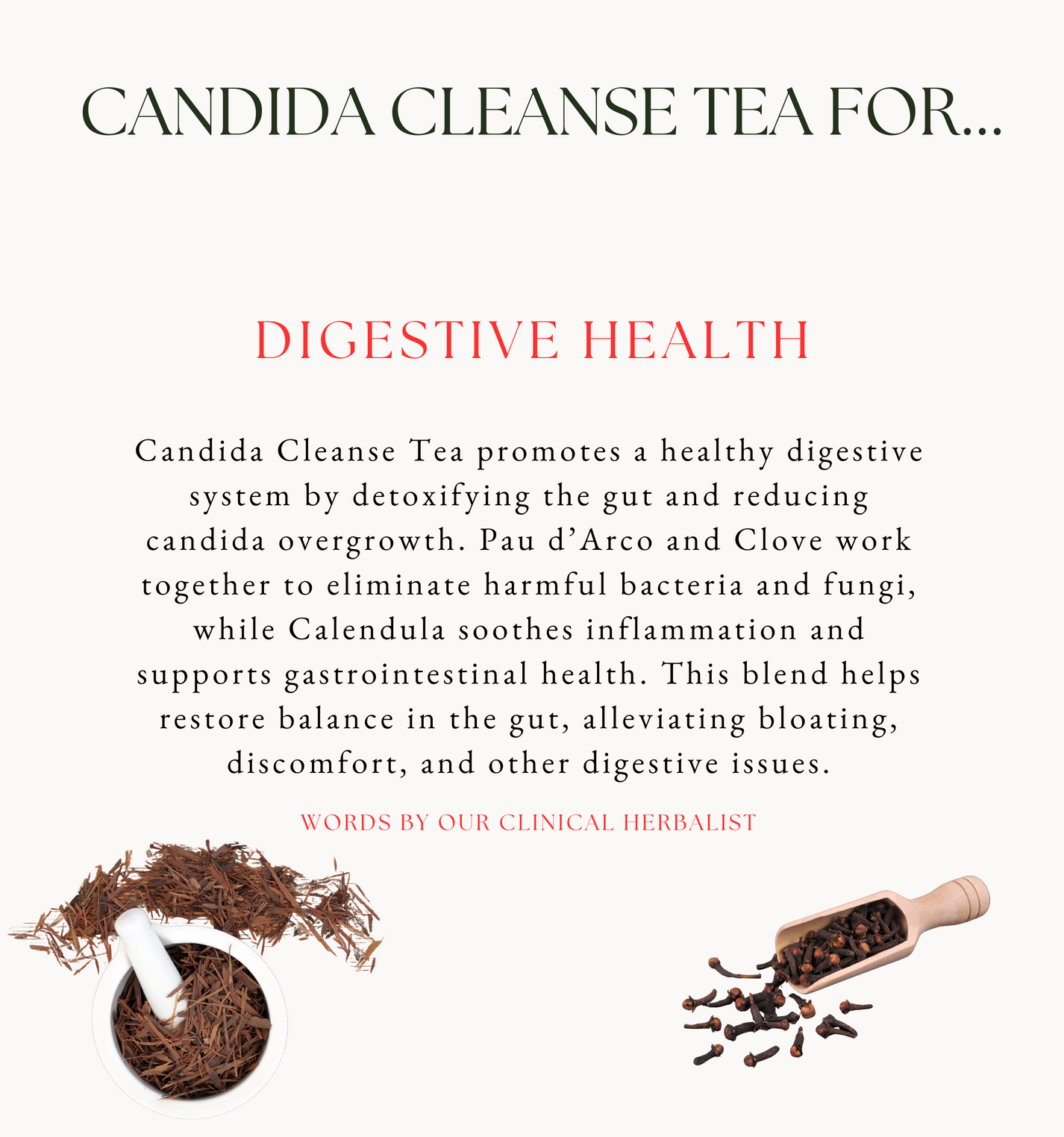 Candida Cleanse – Haya Herbs