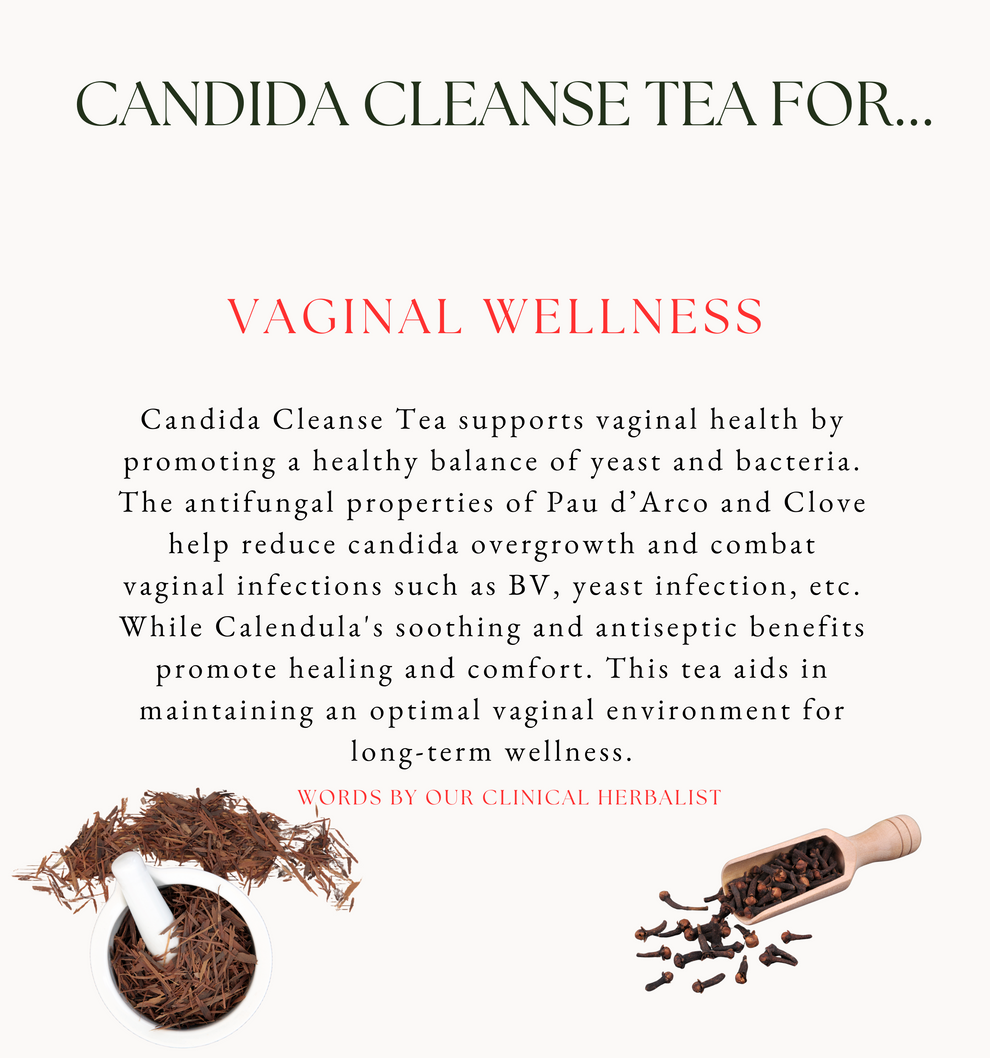 Candida Cleanse – Haya Herbs