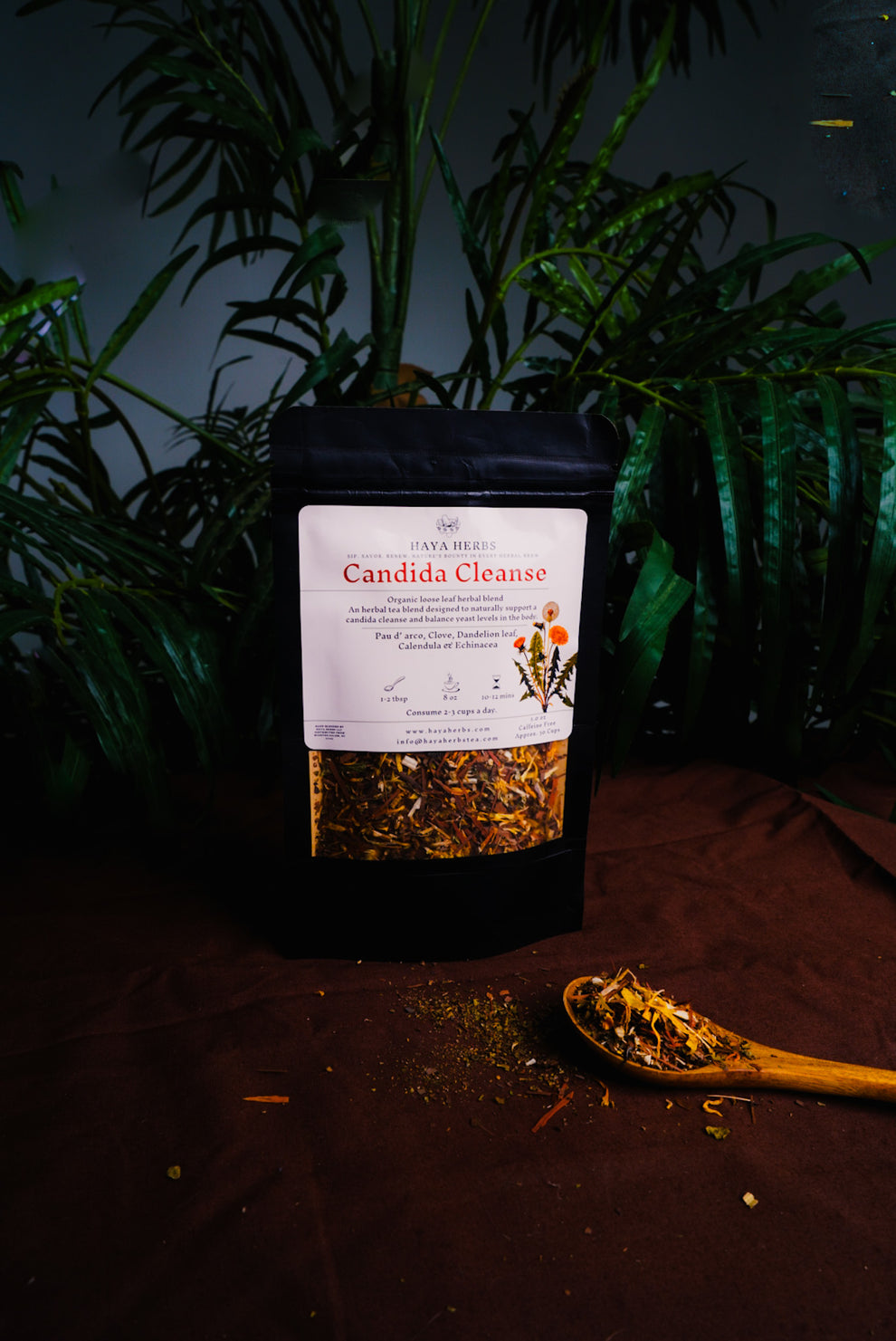 Candida Cleanse – Haya Herbs